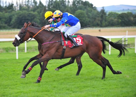 Cork Polar Present Shane Butler Win Editorial Stock Photo - Stock Image ...
