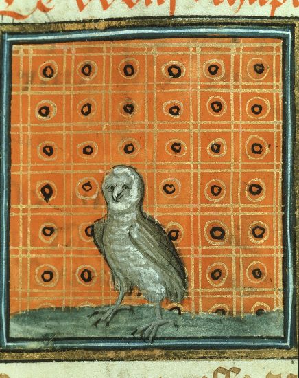Owl 14th Century French Manuscript Le Editorial Stock Photo - Stock ...