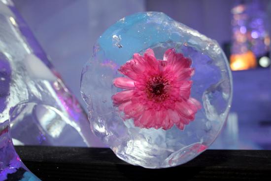Icespace Frozen Fantasy World Flower Ice Editorial Stock Photo - Stock ...