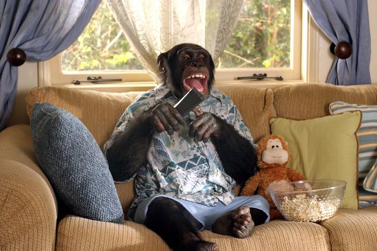 Funky Monkey 2004 Editorial Stock Photo - Stock Image | Shutterstock