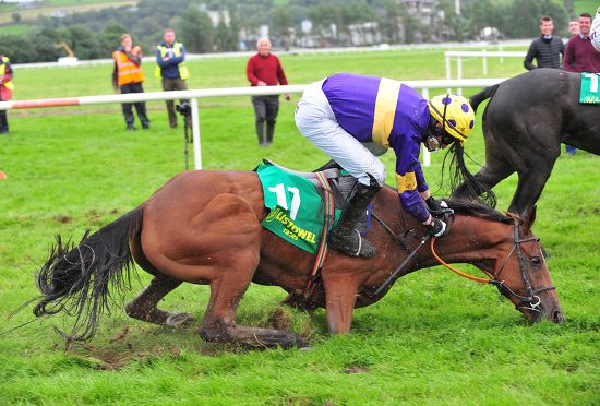 Listowel Lady Sea Mikey Fogarty Part Editorial Stock Photo - Stock ...