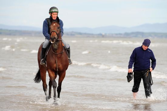 Laytown Trainer Shane Duffy Walking Sea Editorial Stock Photo - Stock ...