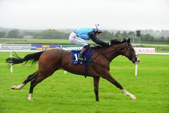 Naas Territory Colin Keane Win Racing Editorial Stock Photo - Stock ...