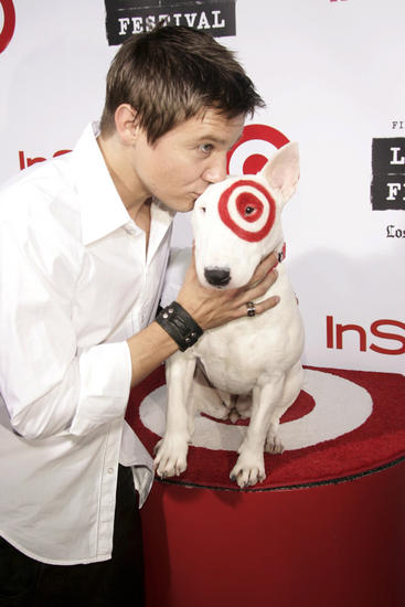 Jeremy Renner Bullseye Target Dog Editorial Stock Photo - Stock Image ...