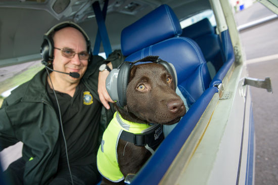 Graham Mountford His Puppy Pip His Editorial Stock Photo - Stock Image ...
