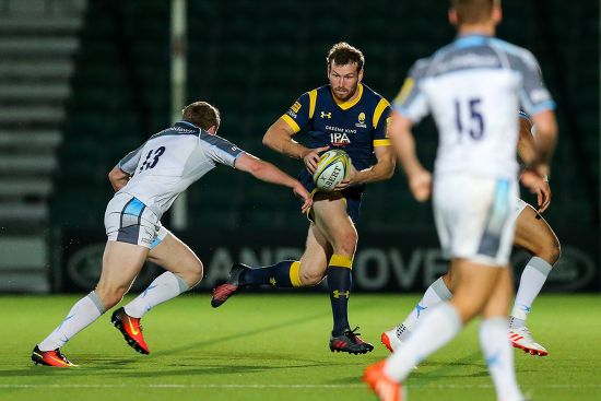 Max Stelling Worcester Cavaliers Action Editorial Stock Photo - Stock ...
