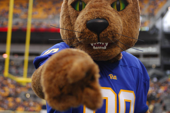 Th Pitt Mascot Roc During George Editorial Stock Photo - Stock Image ...