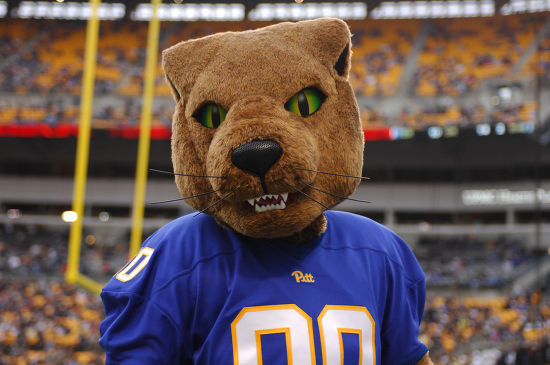 Th Pitt Mascot Roc During George Editorial Stock Photo - Stock Image ...