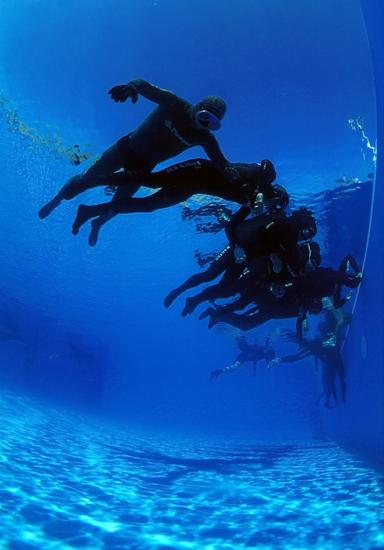 Static Apnea Training Editorial Stock Photo - Stock Image | Shutterstock