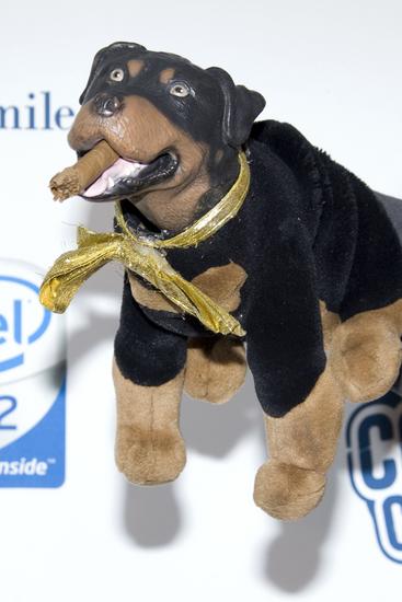 Triumph Insult Comic Dog Editorial Stock Photo - Stock Image | Shutterstock