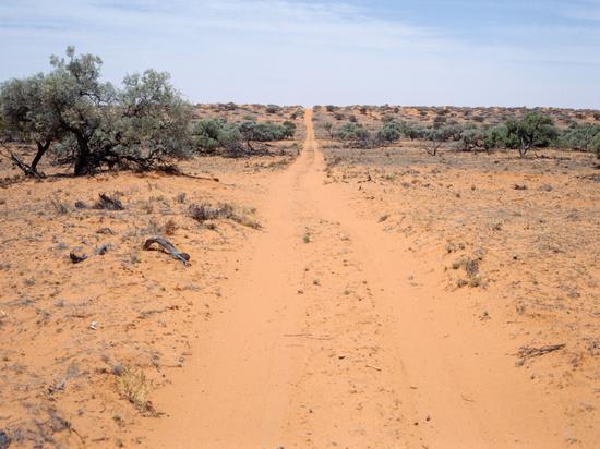 Simpson Desert Track Northern Territories Australia Editorial Stock ...