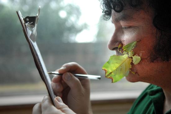 Mark Tansley Leaf Insect Malaysia London Editorial Stock Photo - Stock ...