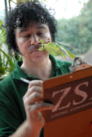 Mark Tansley Leaf Insect Malaysia London Editorial Stock Photo - Stock ...