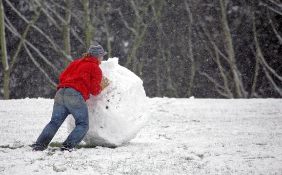 Man Rolls Large Snowball Lexden Park Editorial Stock Photo - Stock ...