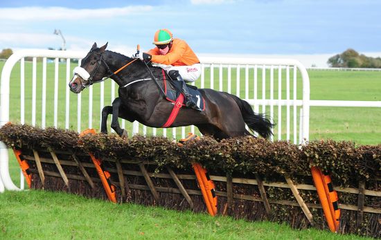 Thurles De Plotting Shed Cian Collins Editorial Stock Photo - Stock ...