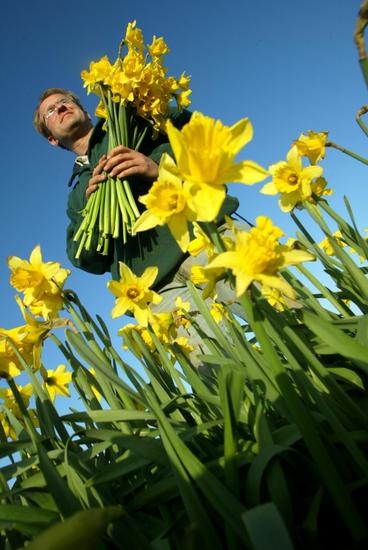 Thomas Maxey Who Farms 75 Acres Editorial Stock Photo - Stock Image ...