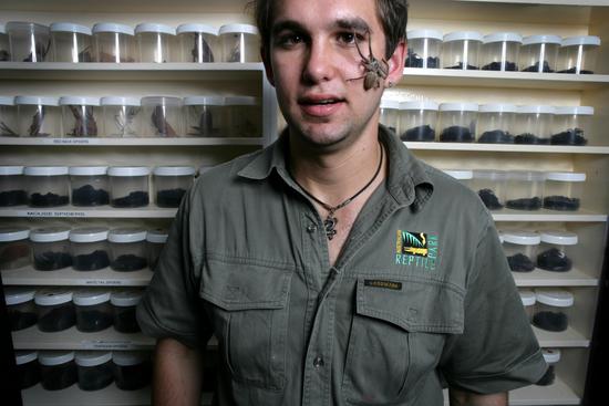 Joel Funnelweb Spider Joel Shakespeare Milks Editorial Stock Photo ...