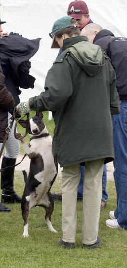 Princess Anne Her Dog Editorial Stock Photo - Stock Image | Shutterstock