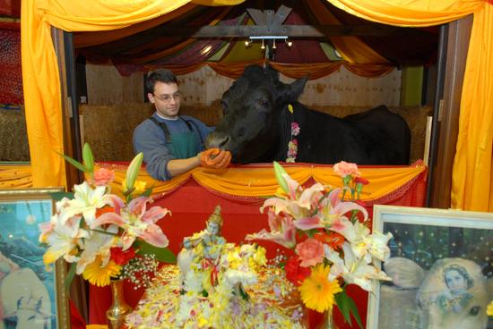 Brother Jamie Shambo Shambos Shrine Shambo Editorial Stock Photo ...