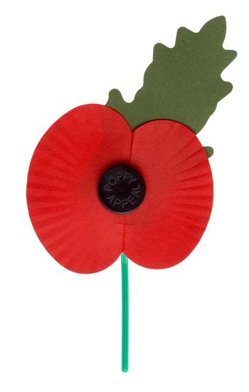 Closeup Royal British Legion Poppy Editorial Stock Photo - Stock Image ...