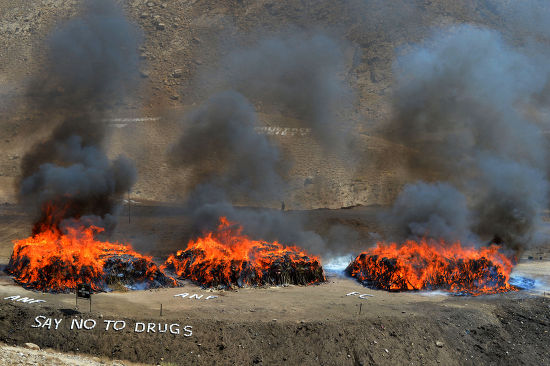 Piles Burning Drugs Seen During Ceremony Editorial Stock Photo - Stock ...