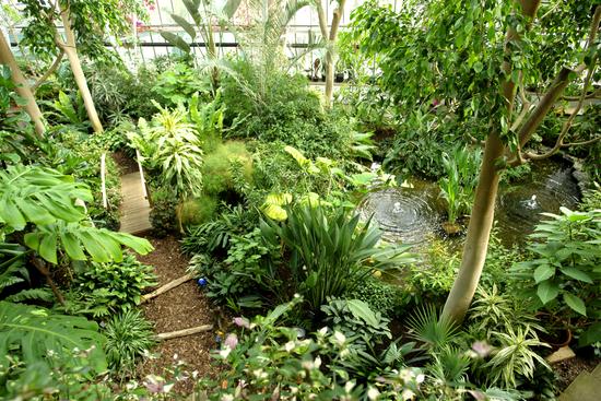 Barbican Conservatory Constructed Around Fly Tower Editorial Stock ...