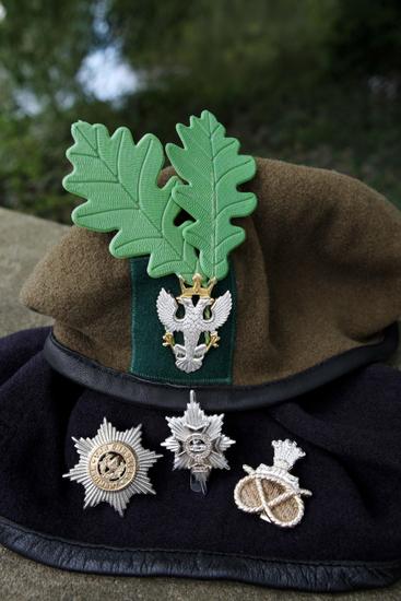 Cap Badge Mercian Regiment Replaces Those Editorial Stock Photo - Stock ...