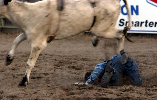 Junior Rough Rider Competiting Editorial Stock Photo - Stock Image ...
