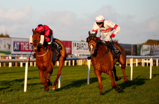 Rainbow Communications Handicap Chase Tiger Sam Editorial Stock Photo ...