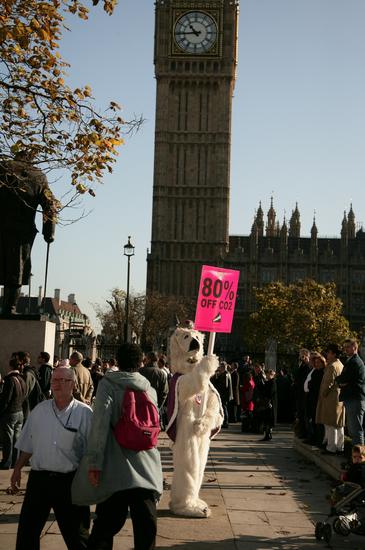 Polar Bear Protesters Count Uks Largest Editorial Stock Photo - Stock ...