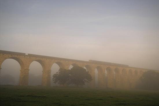 Train On Crimple Beck Viaduct Mist Editorial Stock Photo - Stock Image ...