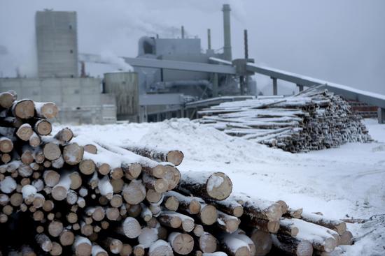 Logs Wood Stora Enso Pulp Factory Editorial Stock Photo - Stock Image ...