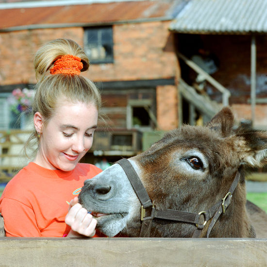 Kate Alderton Noahs Ark Editorial Stock Photo - Stock Image | Shutterstock