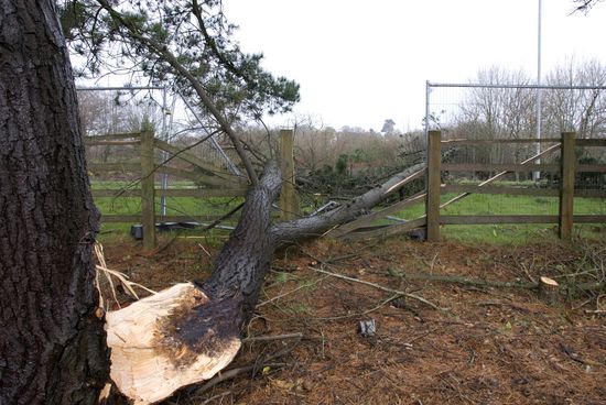 Fallen Tree Damages Fence Near Playing Editorial Stock Photo - Stock ...