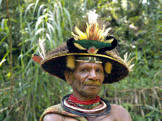 Wig Master Huli Tribe Wearing His Editorial Stock Photo - Stock Image ...
