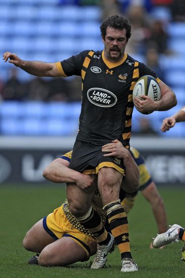 Wasps Alex Rieder Action Wasps V Editorial Stock Photo - Stock Image ...