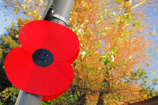 Giant Poppy On Lamppost Editorial Stock Photo - Stock Image | Shutterstock