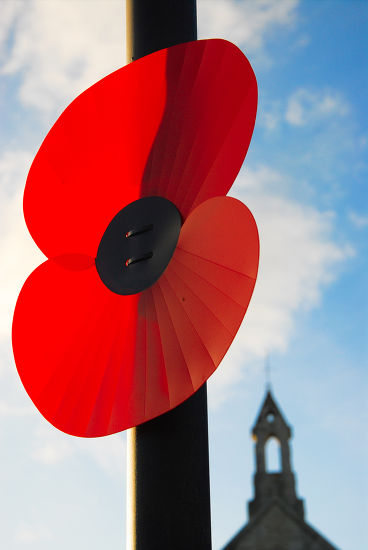 Giant Poppy On Lamppost Editorial Stock Photo - Stock Image | Shutterstock