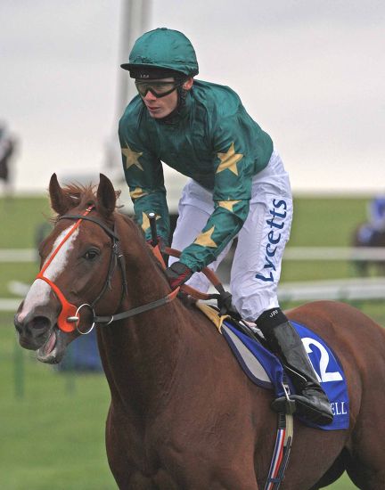 Jockey Jamie Spencer On Sharp Nephew Editorial Stock Photo - Stock ...