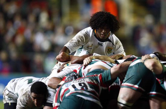 Rugby Ashley Johnson South Africa Friendly Editorial Stock Photo ...