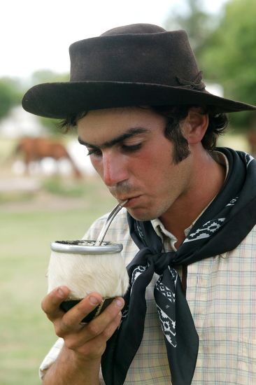 Model Released Gaucho Drinking Mate Tea Editorial Stock Photo - Stock ...
