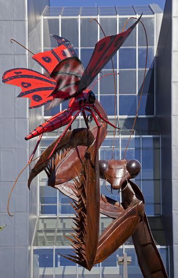 Mantis Dreaming Sculpture By Bill Secunda Editorial Stock Photo - Stock ...
