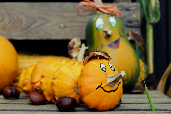Snake Made Patisson Pumpkins Cucurbita Pepo Editorial Stock Photo ...
