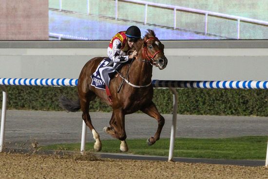 Dubai Meydan Race Track Editorial Stock Photo - Stock Image | Shutterstock