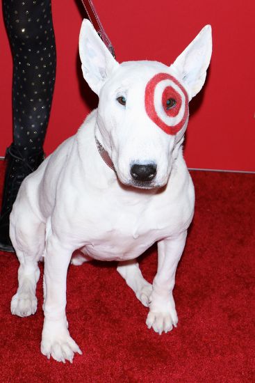 Bullseye Target Dog Editorial Stock Photo - Stock Image | Shutterstock