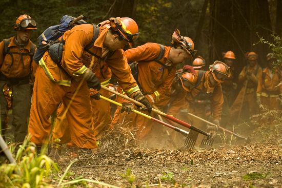 Inmate Fire Crews Clear Brush Along Editorial Stock Photo - Stock Image ...