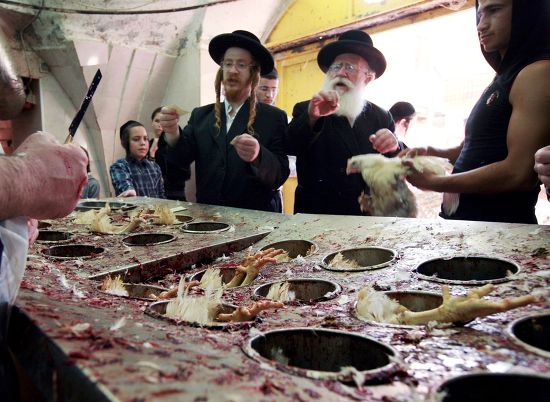 Ultraorthodox Jews Present Their Chickens Man Editorial Stock Photo ...