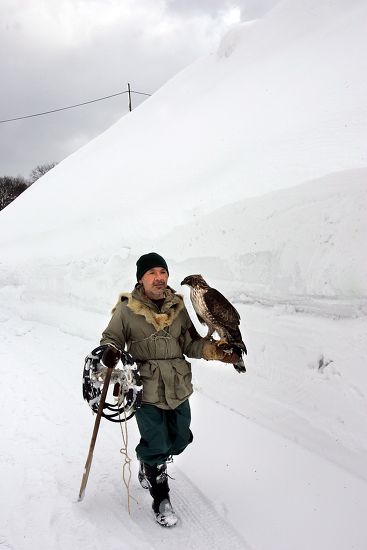 Japans Last Living Traditional Falconer Hidetoshi Editorial Stock Photo ...