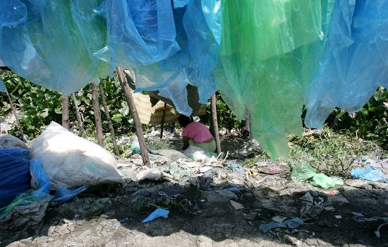 Filipino Woman Washes Plastic Materials Recycling Editorial Stock Photo ...