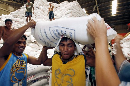 Filipino Worker Carries Sack Governmentcontrolled Rice Editorial Stock ...